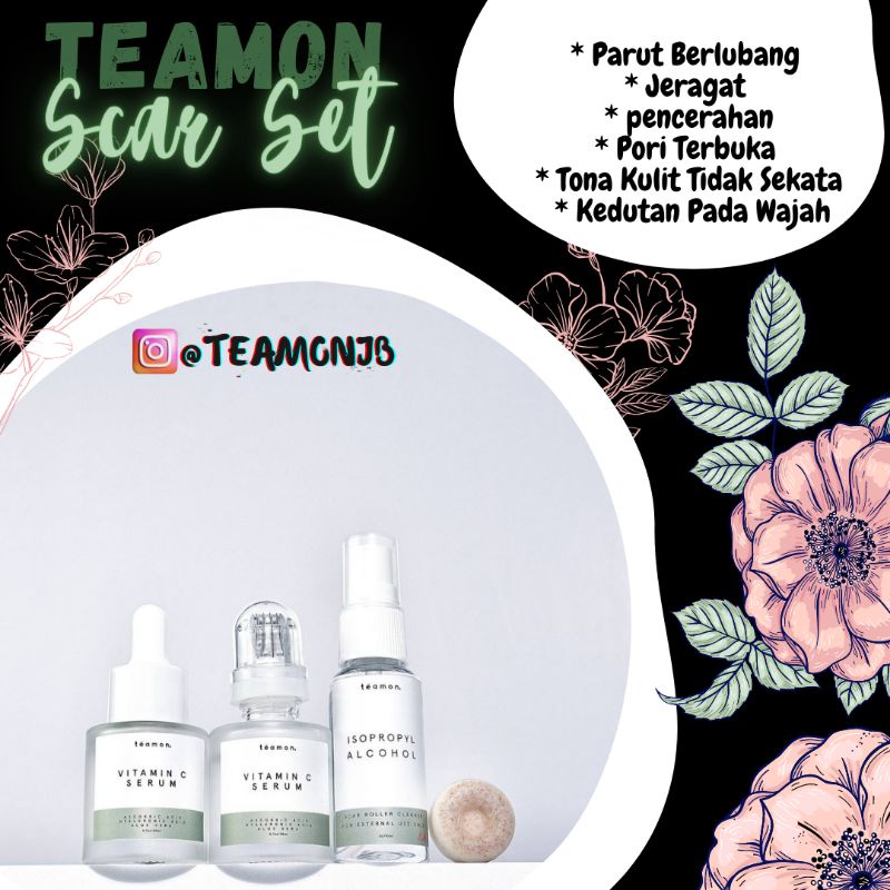 Teamon Scar Roller Set , Pencerahan, Parut Berlubang, Parut Berlekuk ...