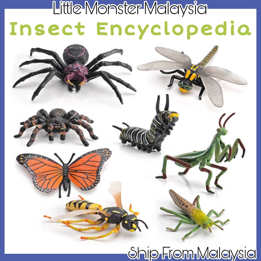 Extra Large Insect Model Serangga Mainan Besar Big Bugs Toys Early ...