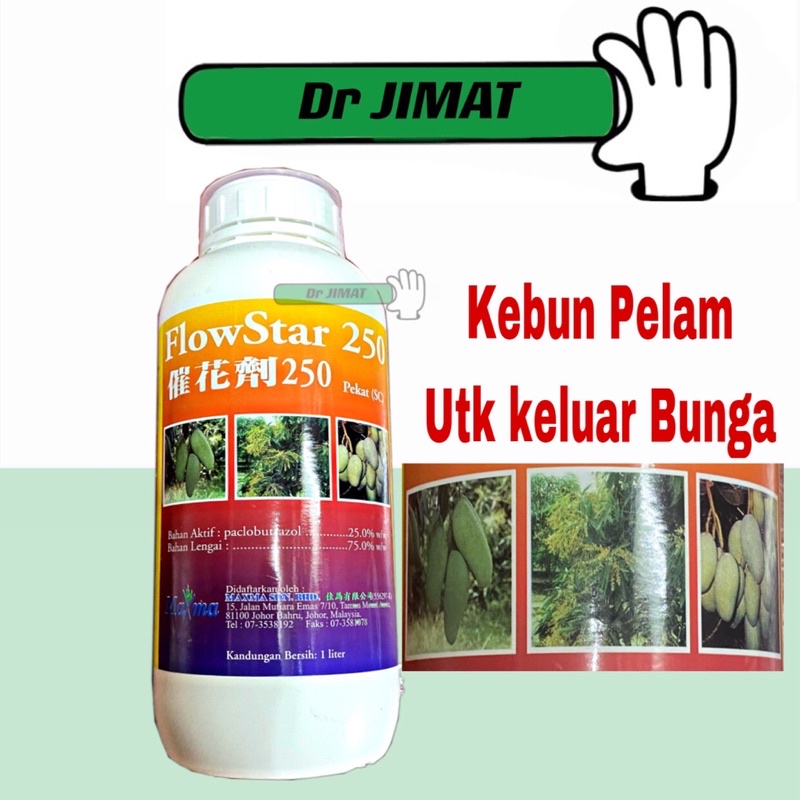 Original FlowStar 250 / Paclobutrazol 25% / Penggalak Bunga Pelam / Hasil Harum manis | Shopee ...