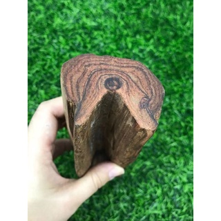 Malaysia - Kayu Menang | Shopee Malaysia