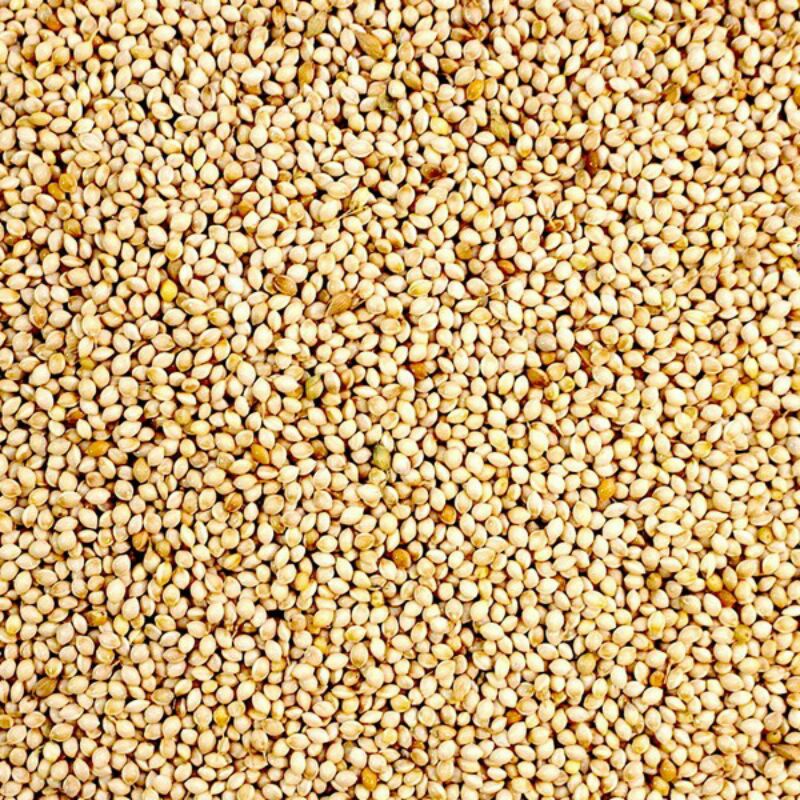 (1Gunny) White Millet Kambu Putih Bird Feed Food 20kg | Shopee Malaysia