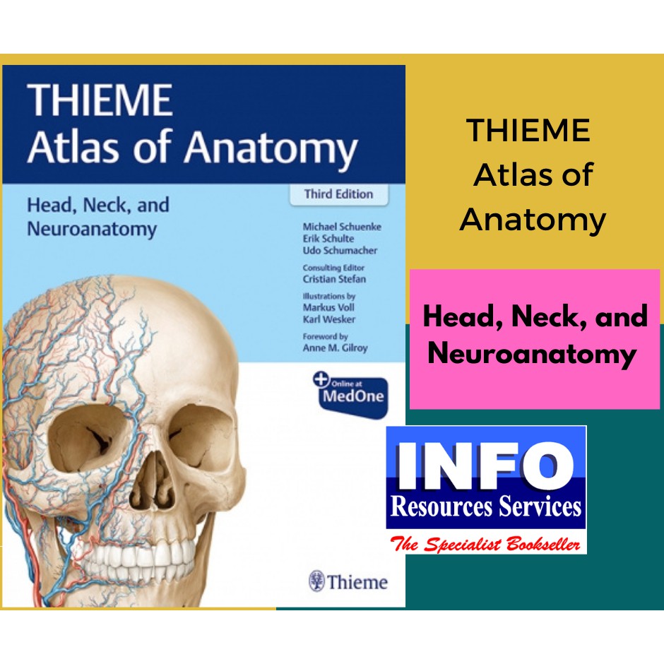 Head Neck and Neuroanatomy (THIEME Atlas of Anatomy) 【2020 EDITION ...