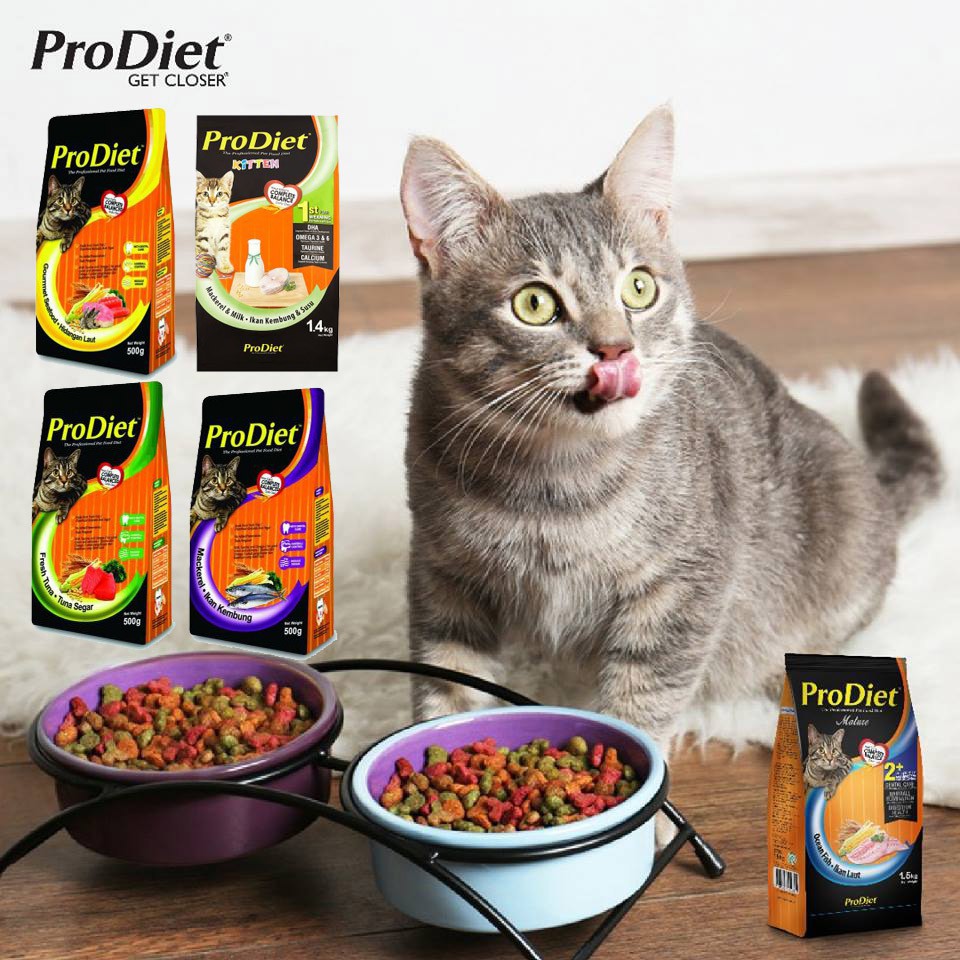 ProDiet Dry Cat Food (1.5kg) - Fresh Tuna/Mackerel/Ocean Fish/Gourmet ...