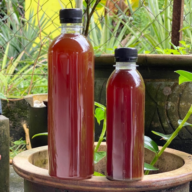 Concentrated Vermitea 250ml & 500ml | Shopee Malaysia