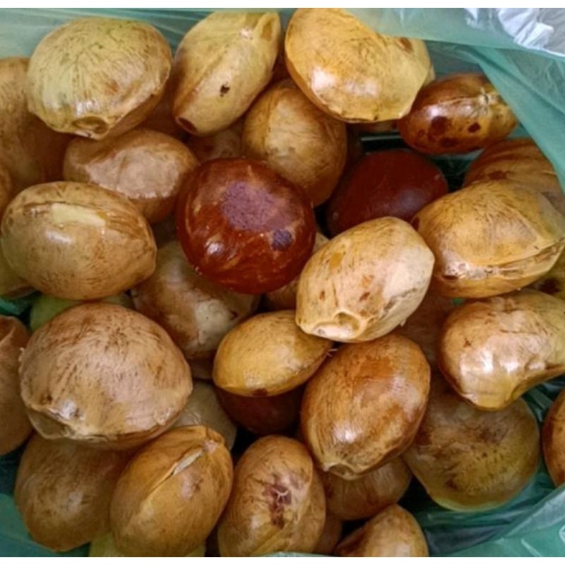[Ready Stock] Jering Tua Kopek /Jengkol tua / Jering Muda / Jering ...