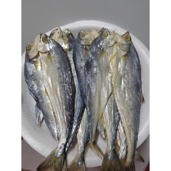 IKAN TALANG PADI,IKAN KERING | Shopee Malaysia