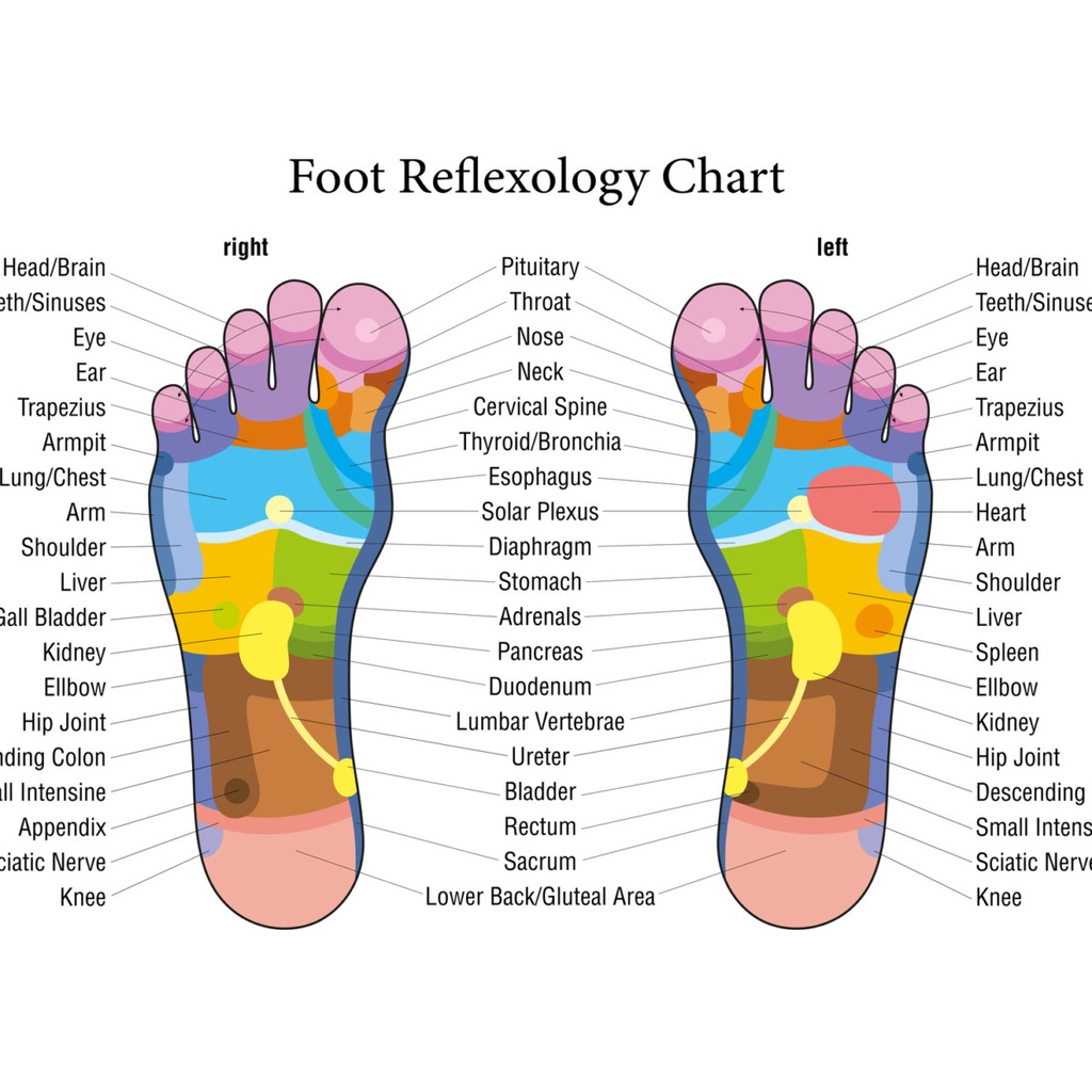 Reflex Therapy chart/ Vitaflex therapy chart/ Essential oils reflex ...