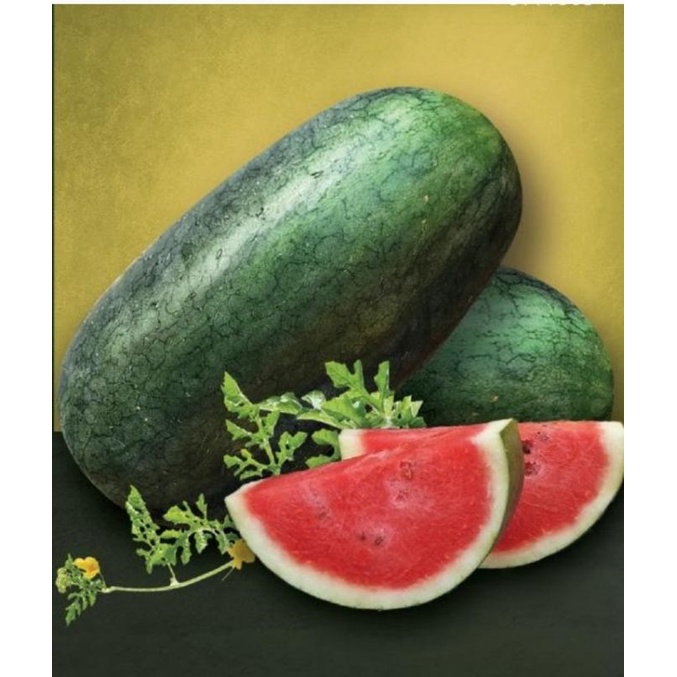 BIJI BENIH HIBRID F1 TEMBIKAI GIANT TORPEDO (Repack) | Shopee Malaysia