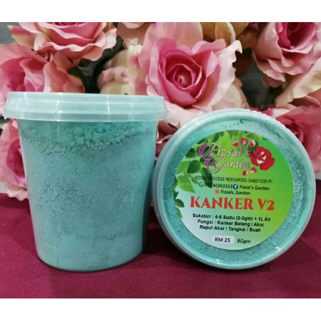 KANKER V2 (buruk/reput) - batang hitam, lebam, buruk, reput, bintik ...