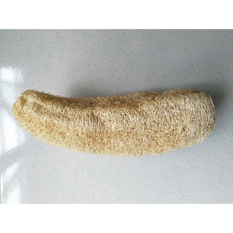 Busut (Petola Kering) | Shopee Malaysia