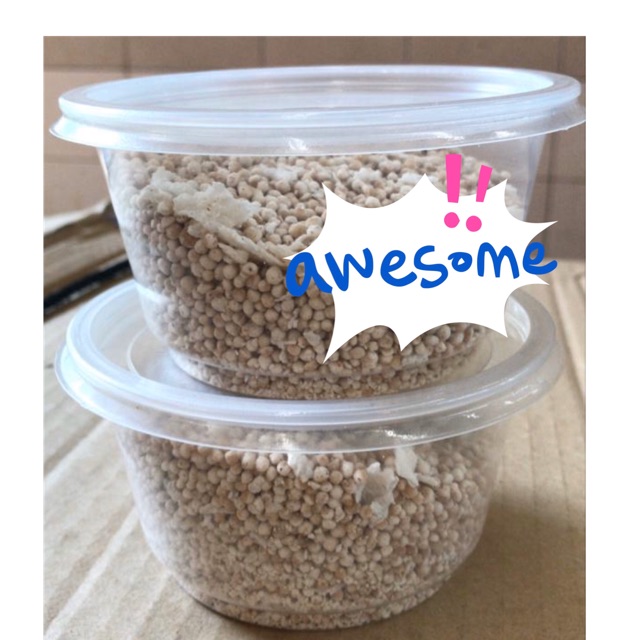 SAGU KELAPA ASLI SARAWAK MAKANAN TRADISI PRODUK TEMPATAN VIRAL | Shopee ...