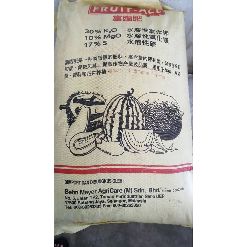 Msia 🇲🇾1kg baja fruit ace pokok cap behn meyer | BeeCost