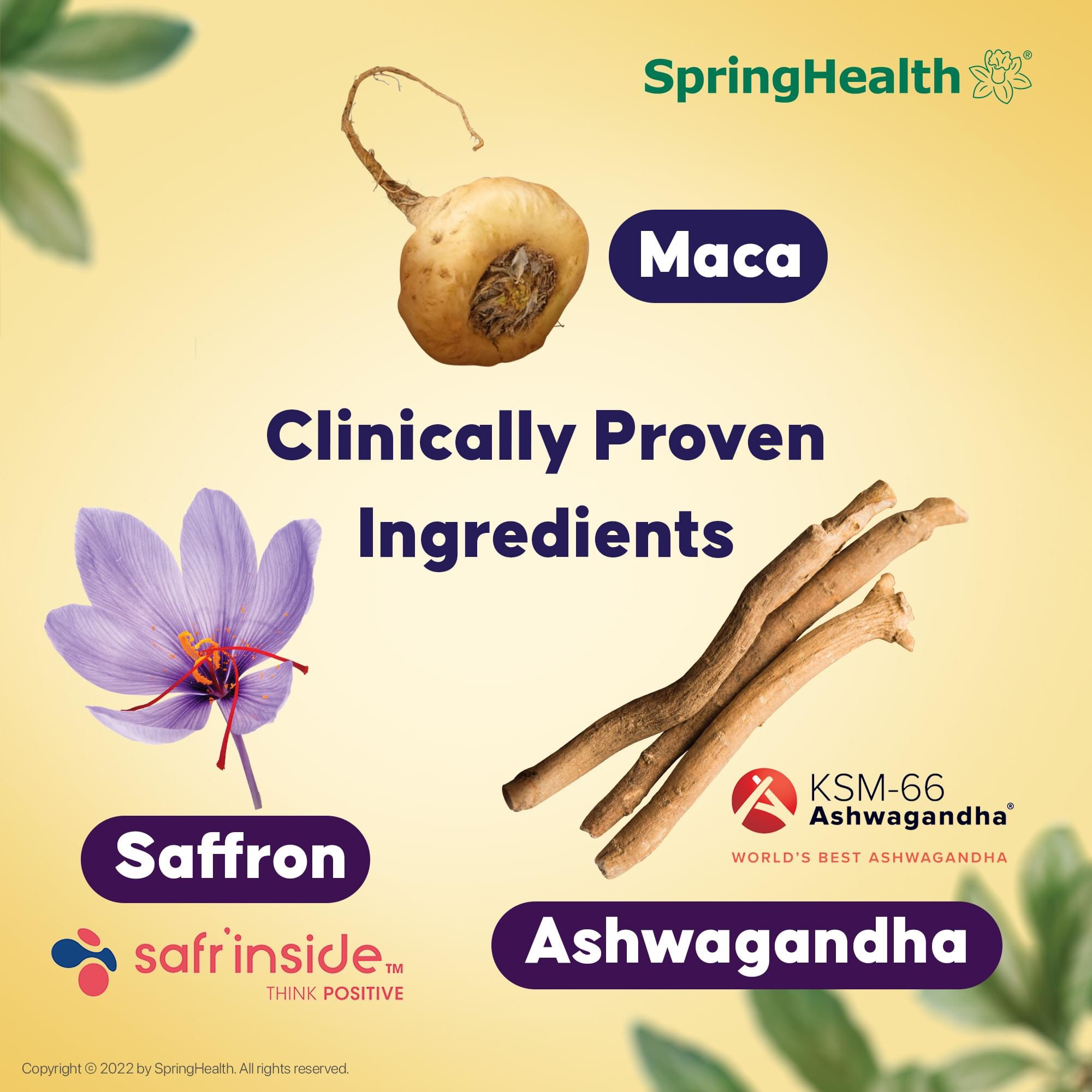 Moh Heng Pharmacy, Online Shop | Shopee Malaysia