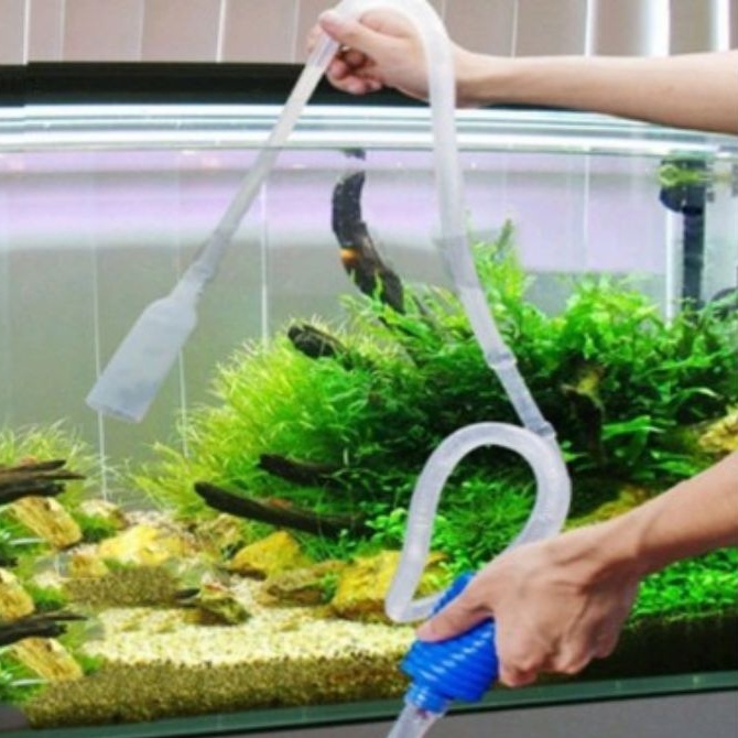 Aquarium siphon vacuum cleaner for axolotl tank | Shopee Malaysia