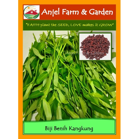 Biji Benih Kangkung (30 biji) | Shopee Malaysia