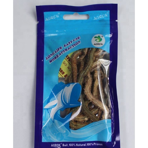 Lugworm Fishing Bait / Umpun-Umpun Kering / Pancing | Shopee Malaysia