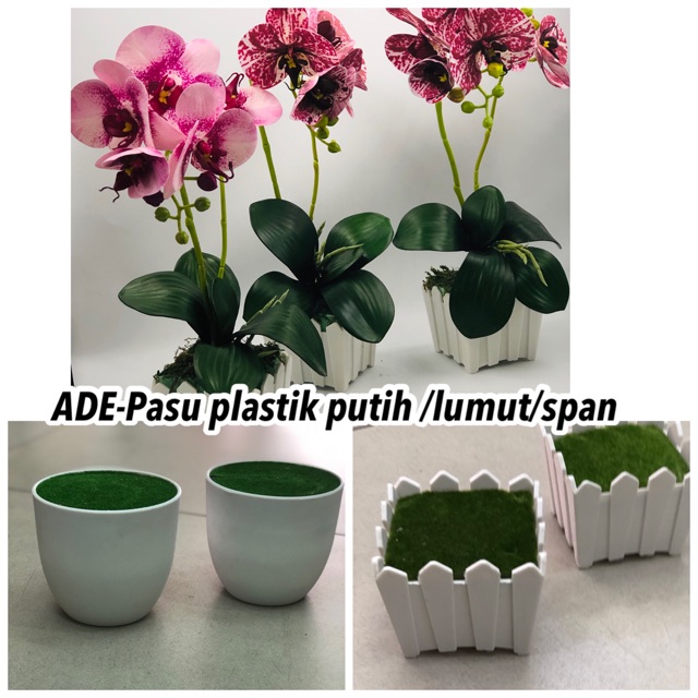 ADE-Pasu plastik putih+lumut+span | Shopee Malaysia