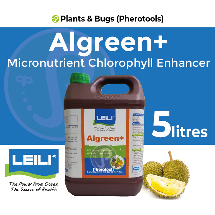 Leili Algreen+ 5L seaweed foliar fertilizer trace elements for durians ...