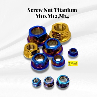 SKRU NUT NUT COLOUR TITANIUM | Shopee Malaysia