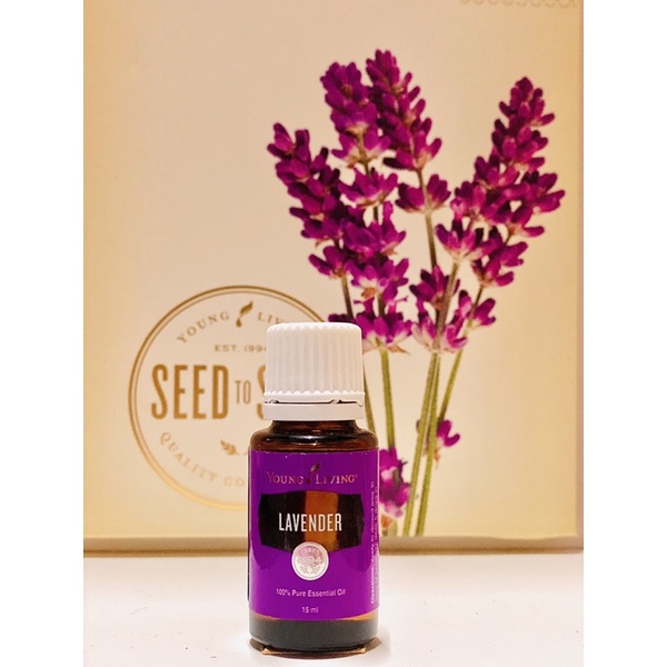 Essential Oil Young Living Lavender 15ml Shopee Malaysia