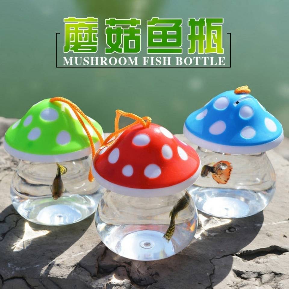 Botol ikan kecil kecil | Shopee Malaysia