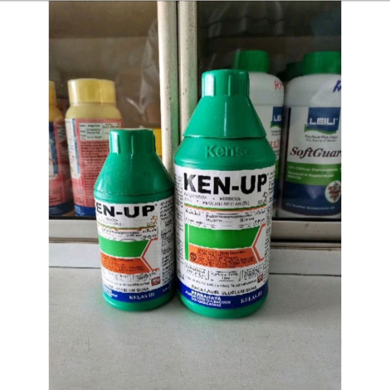 Ken Up/Ecomax/Roundup/Regiment Racun Sistemik Serap/lambat Mati ...