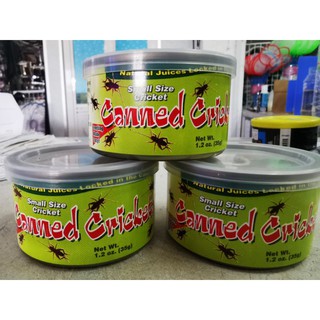 Stock In # Cengkerik Tin # cengkerik besar / Canned Crickets # | Shopee ...