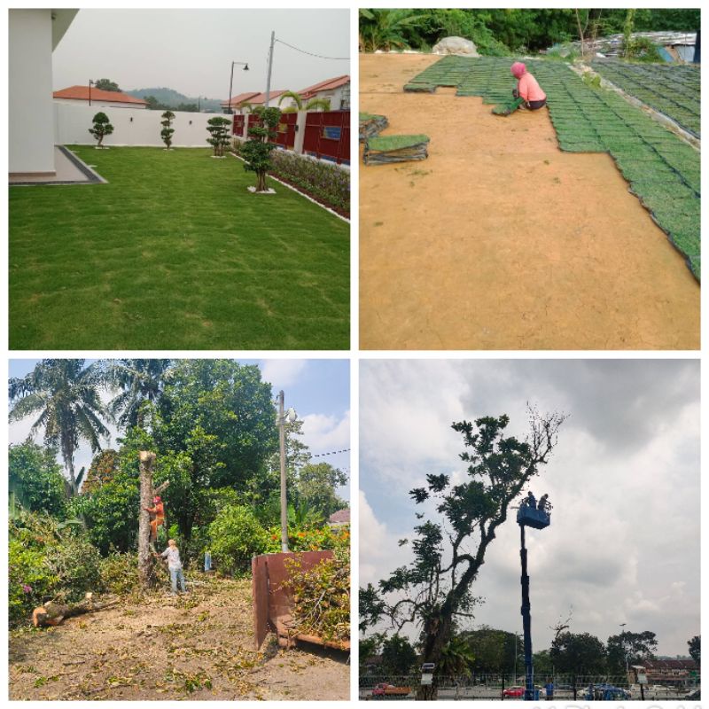 Tanam Rumput, Grass Installation | Shopee Malaysia