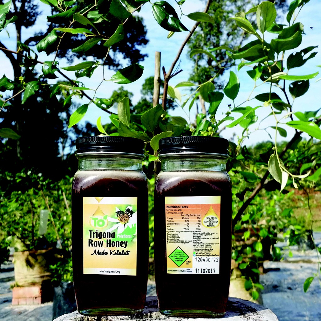 Stingless Bee Honey 500g | Shopee Malaysia