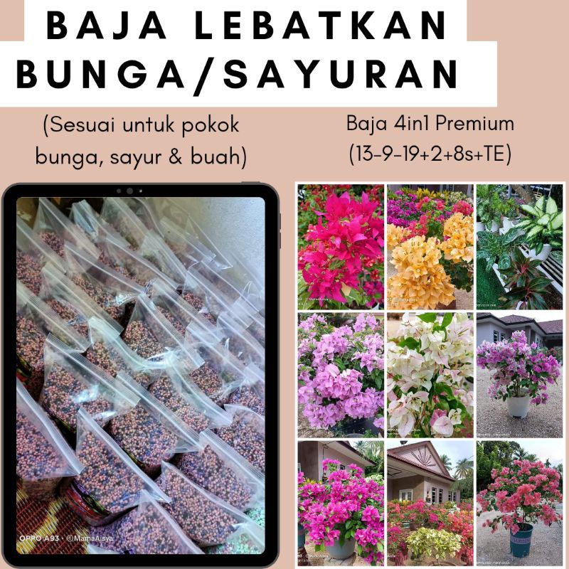 BAJA SUBURKAN POKOK BUNGA, SAYUR DAN BUAH BUAHAN | Shopee Malaysia
