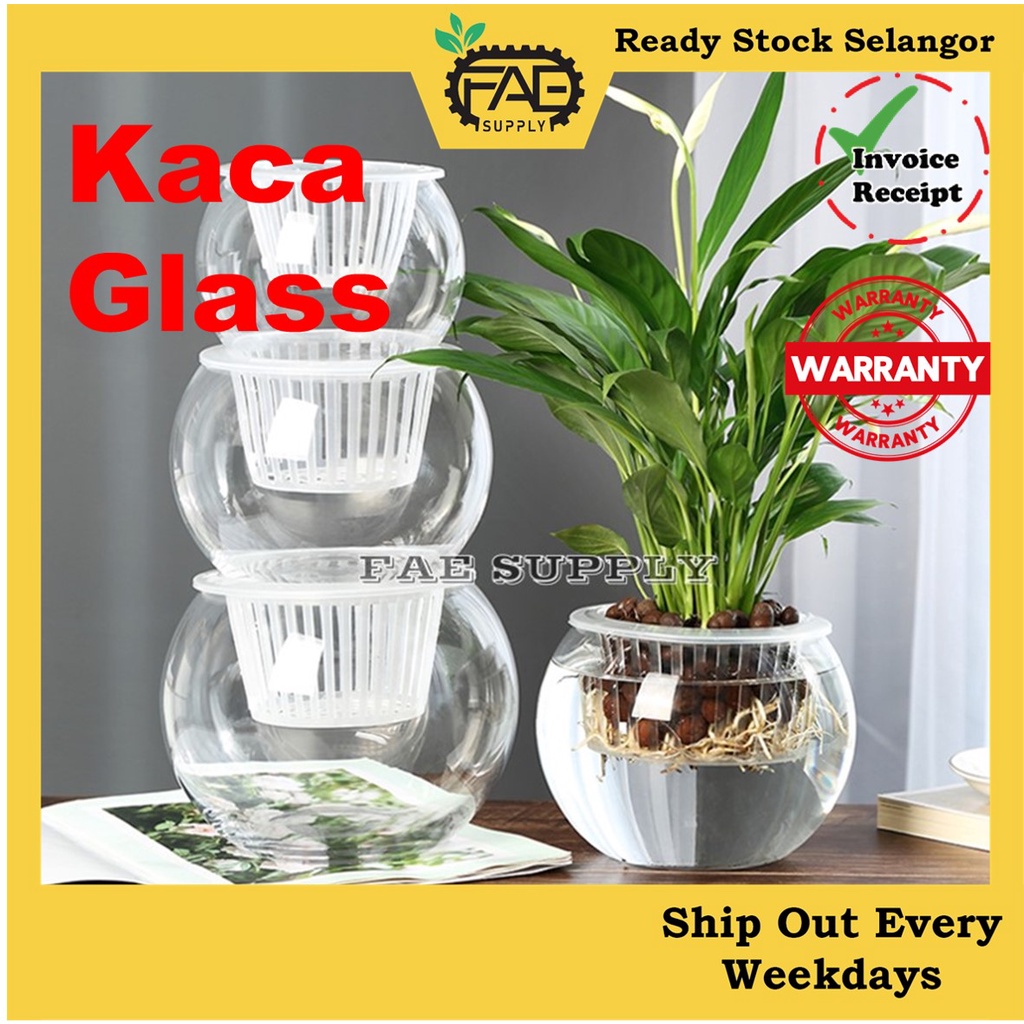 Pasu Bunga kaca bulat Glass vase Indoor Hydroponic Flower vase round ...