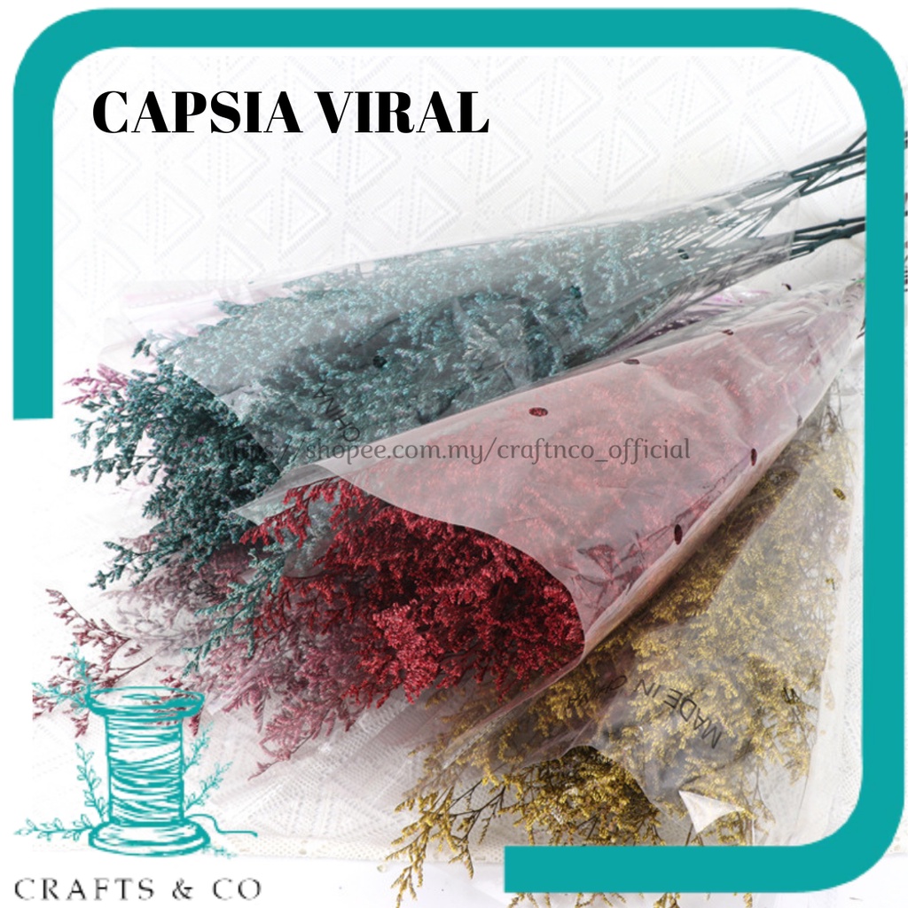 CASPIA VIRAL PRESERVED FLOWER LEAVES / DAUN CASPIA FOR DECORATION ...