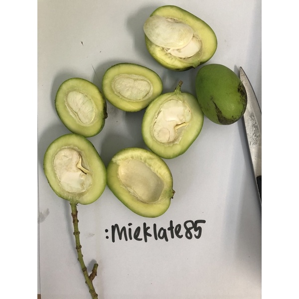 Mangga Telor / Pauh Ringan / Mangga masam / Mangga muda (500gram ...