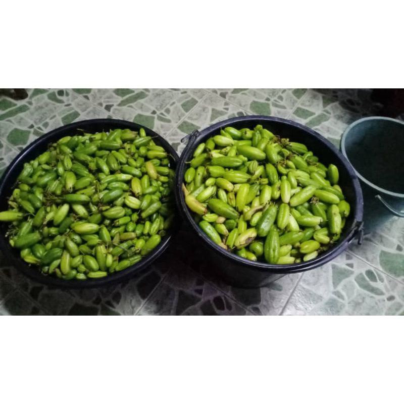 belimbing buluh rebus - belimbing hitam - belimbing rebus 250g | Shopee ...
