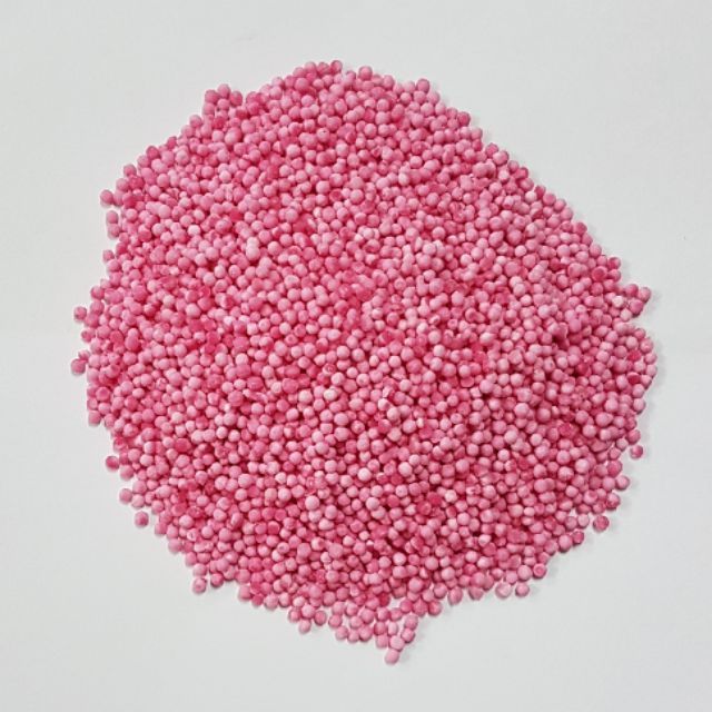 Biji Sagu / Sago Seeds (Merah, Hijau, Putih) 500gm, 250gm available ...