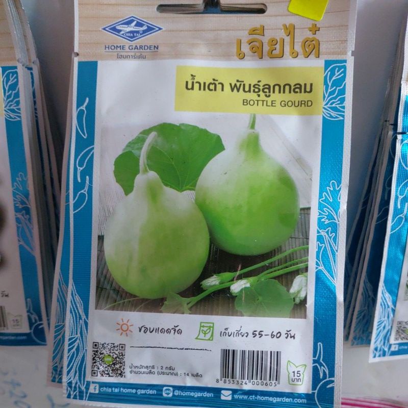 benih labu air bulat dari thailand | Shopee Malaysia