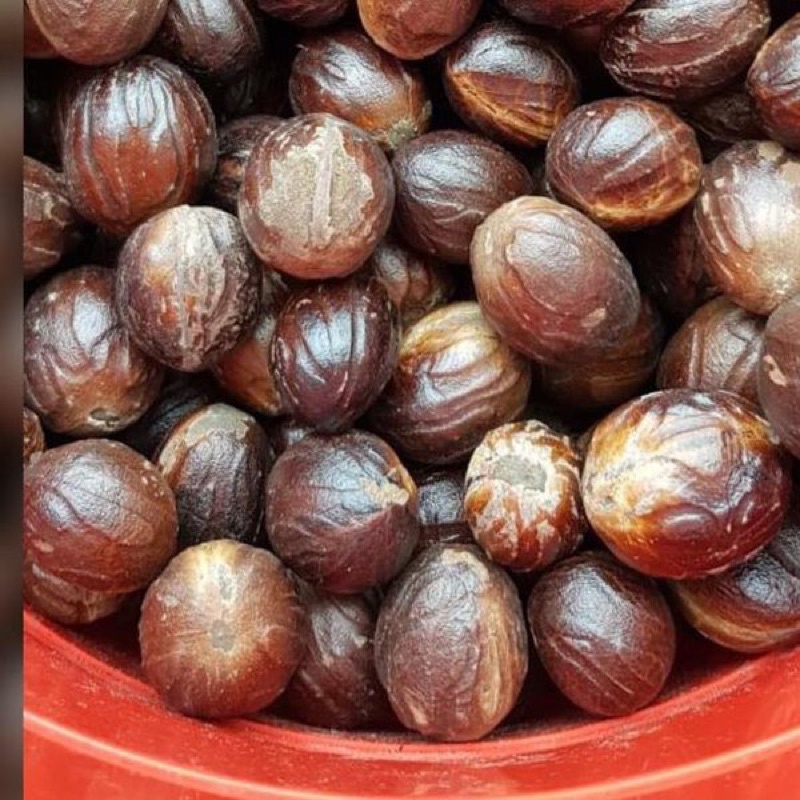 buah pala kering 100g | Shopee Malaysia