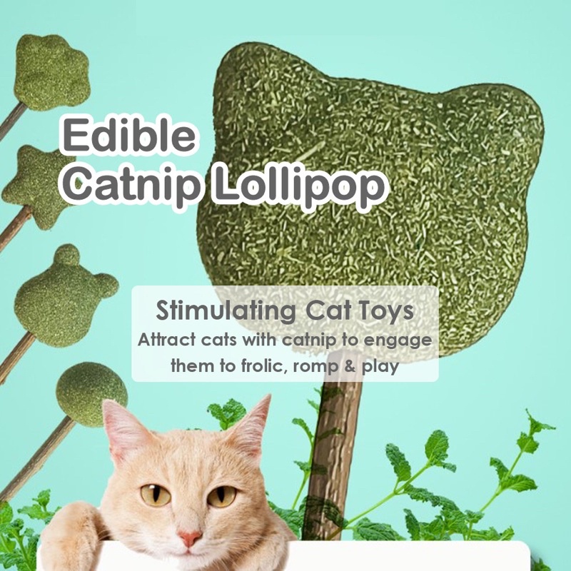 Catnip Lolipop Stick Toy Chewing Teeth Pet Snack / Cat Treats ( Makanan ...