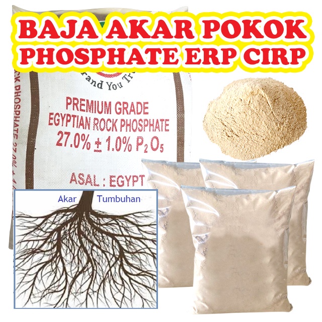 Baja Penggalak Akar Phosphate ERP CIRP Pokok Durian Manggis Mangga ...