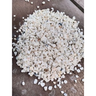 WHITE STONE ( 1KG ) : Batu Putih Hiasan / Pebbles stone / Perlite ...