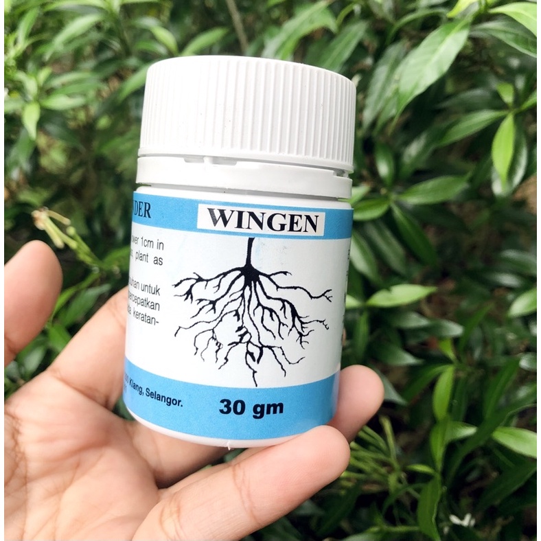 WIGEN (Rooting powder) | Shopee Malaysia