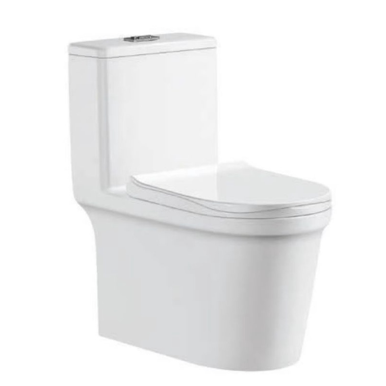Saniware Wc2090 Rimless One Piece Wc | Shopee Malaysia