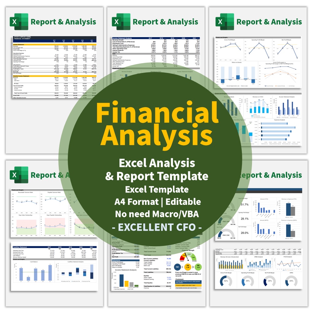 Financial Analysis Excel Templates With Key Ratio Auto Update 