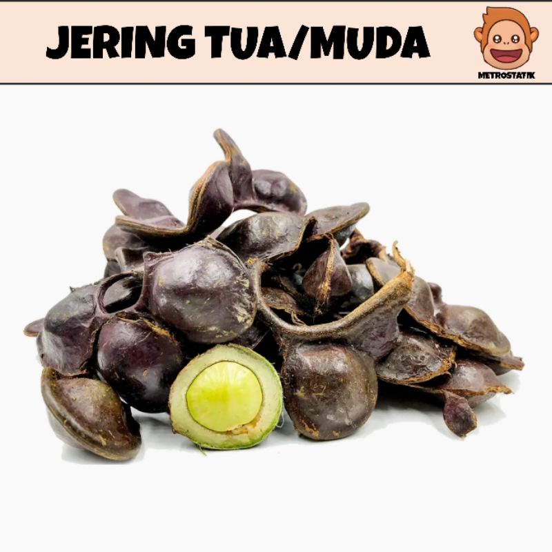 Jering | Jengkol Tua & Muda Dari Kampung ( 500g ) | Fresh Nettle ...