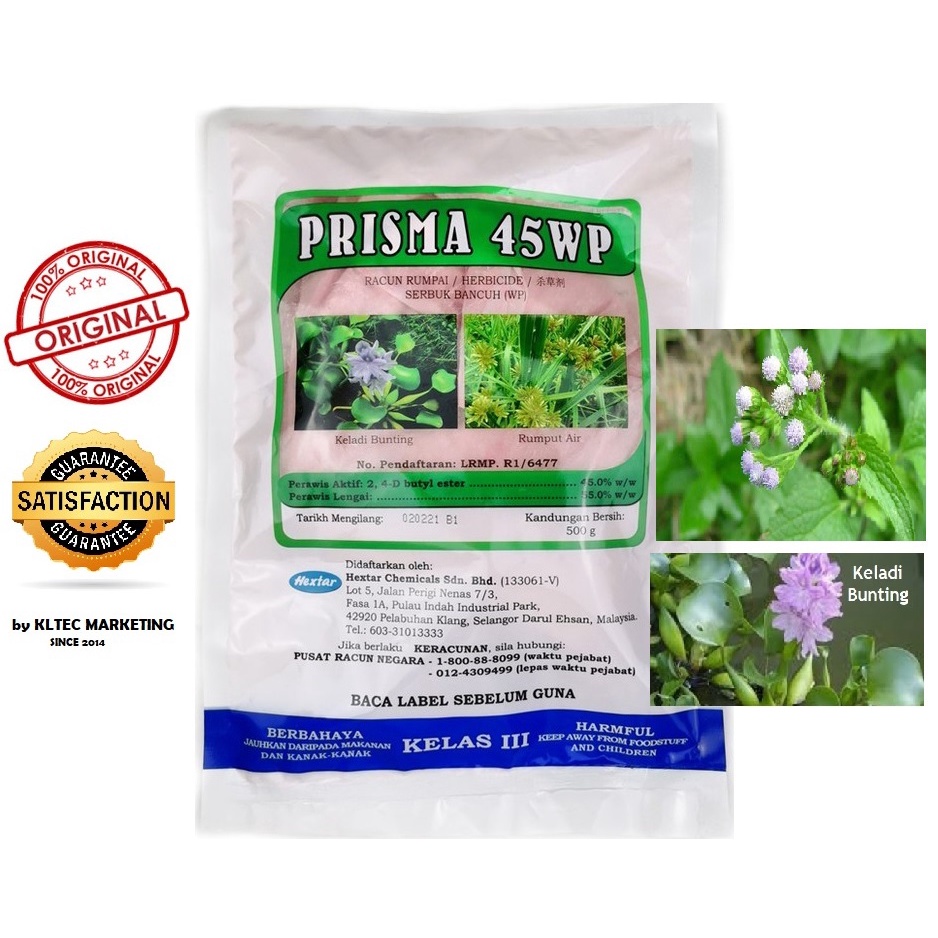 RACUN RUMPUT BUNGA PUTIH / TEPUNG MERAH AMINE / HEXTAR PRISMA SOLARTOX ...