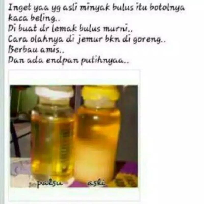 Original Bulus Oil | Shopee Malaysia