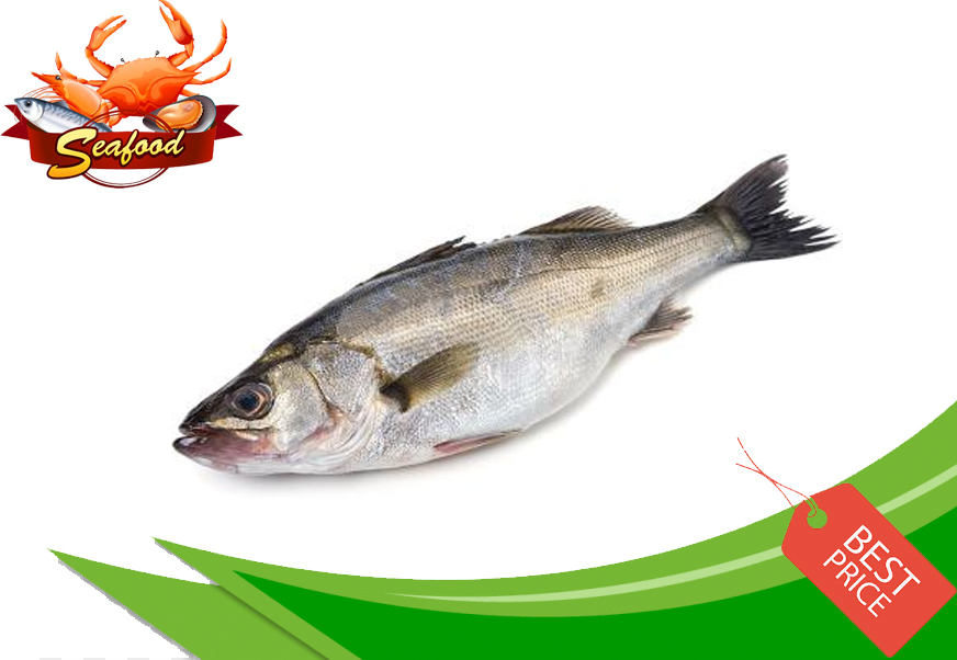 Ikan Susu / MilkFish - 1kg/pkt | Shopee Malaysia