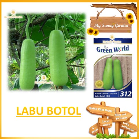 GW 312- LABU BOTOL (10seeds) | Shopee Malaysia