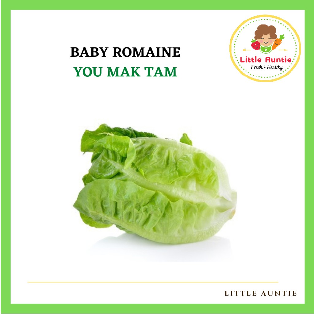 Yau Mak Tam 金马伦油麦胆 300g+/- Baby Romaine - Cameron | Shopee Malaysia