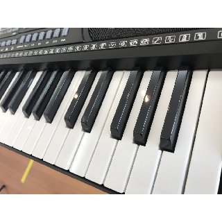 TECHNO ( T-9600ig2) - 61 Keys Digital Portable Keyboard Piano Murah ...